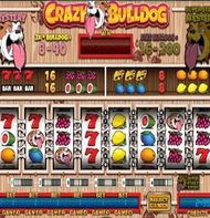 Crazy Bulldog Gioco Slot Machine Demo Gratis - Giochi Di Slots